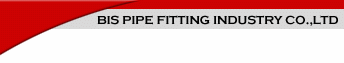 Bis Pipe Fitting Industry Co.,Ltd.